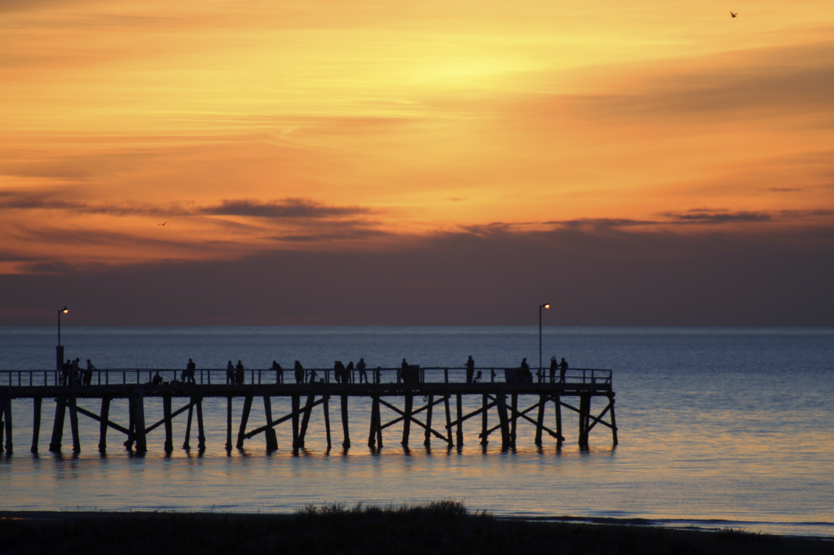 InterContinental Adelaide by IHG vs ? | Tripexpert