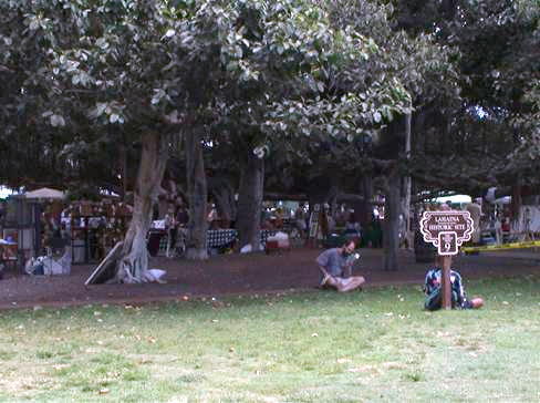 Lahaina Banyan Court Park Reviews | Tripexpert