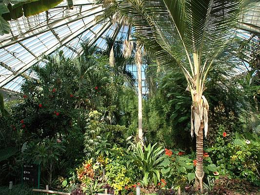 Phoenix Parc Floral de Nice Reviews | Tripexpert